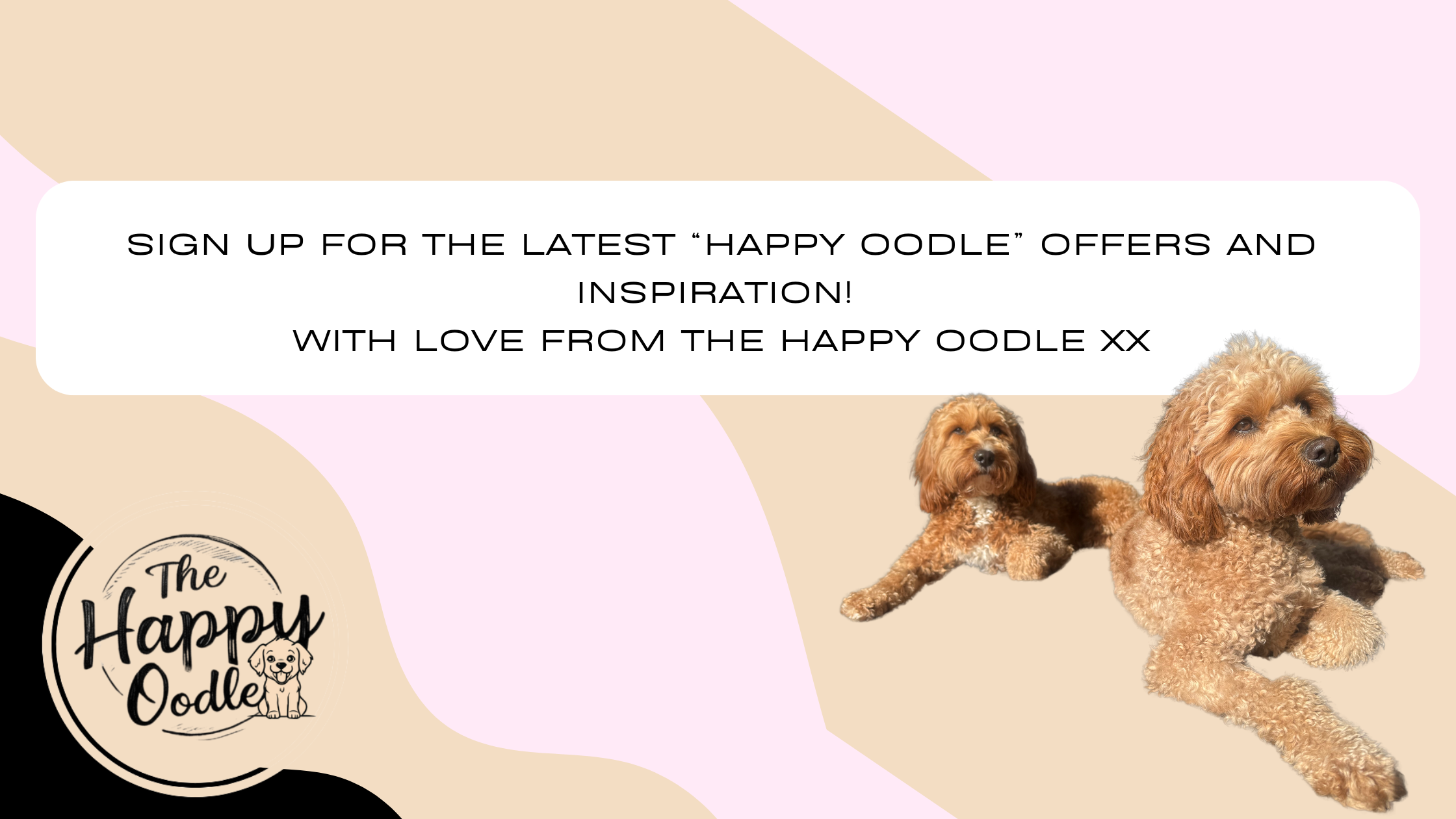Shop Oodle-Friendly Enrichment Products | The Happy Oodle – The Happy ...